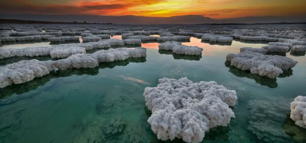 What Is the Dead Sea and Why Doesn’t Anything Live in It?