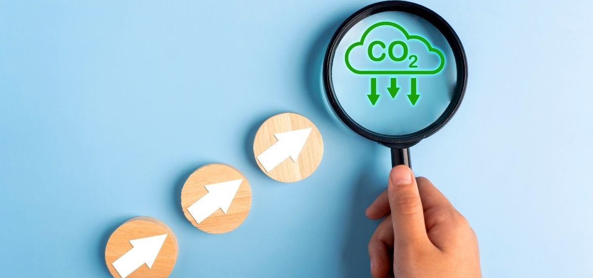 Living a Low-Carbon Lifestyle: Simple Tips for Everyday Life