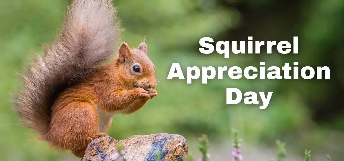 Squirrel Appreciation Day- 21 January | History and fun facts