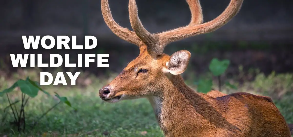 World Wildlife Day 2026: History, purpose and impact!